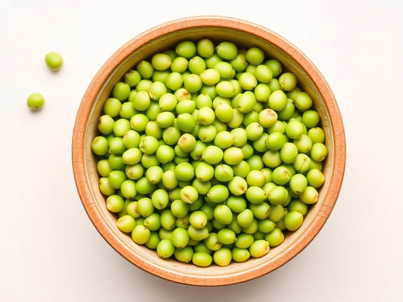 SILA Group Company Limited - Premium Tanzanian Agricultural Exports